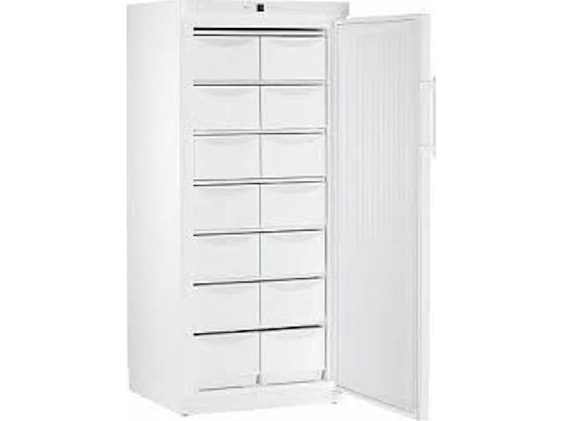 Liebherr G 5216-21 vriezer kopen? EAN: 9005382151112. Laagste prijs € 1 ...